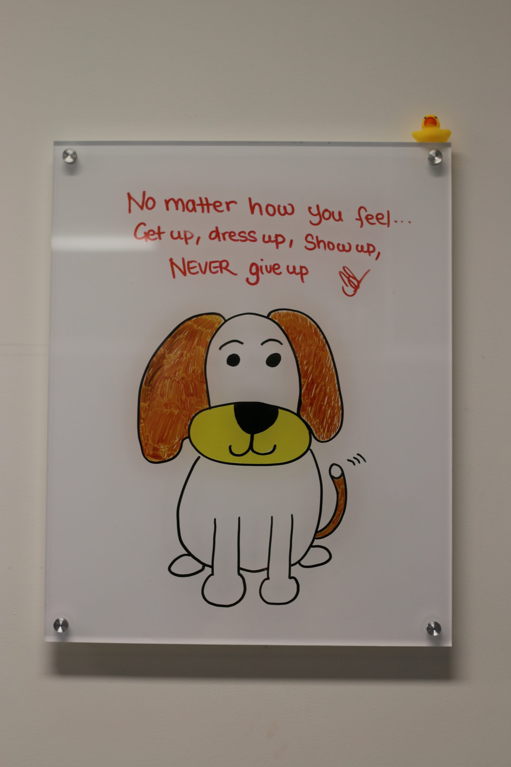 Creative outlet brings more colour to the ICU - Bayside Health Peninsula