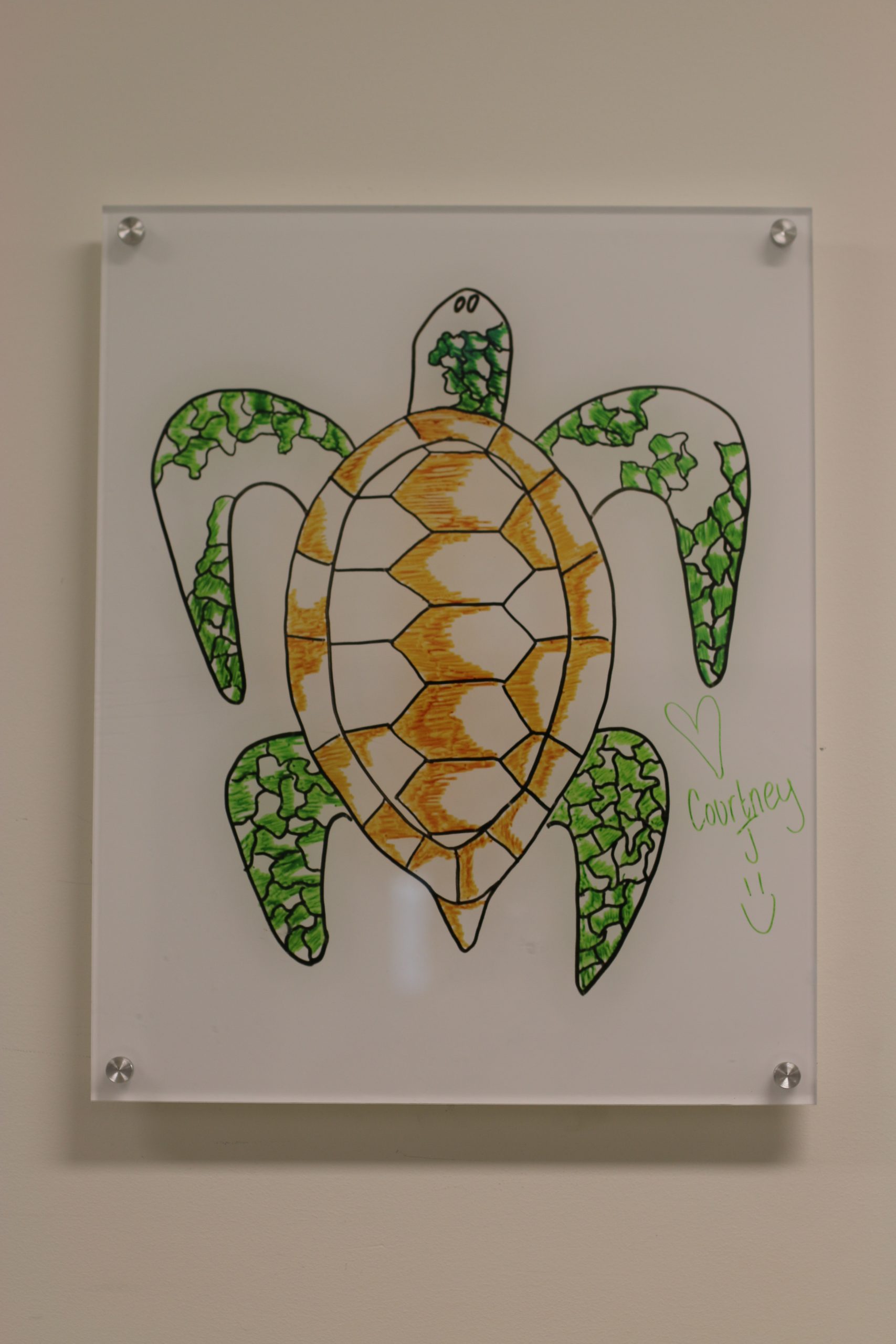 Creative outlet brings more colour to the ICU - Bayside Health Peninsula